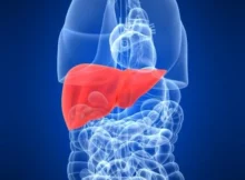 Symptome bei Leberkrankheiten - Facharztwissen