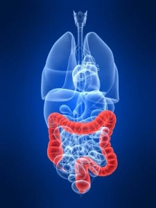 Steatorrhö - Facharztwissen