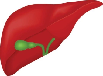 Biliom - Facharztwissen