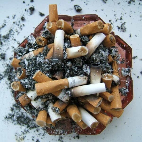 Gesundheitsrisiken von Rauchen - Facharztwissen