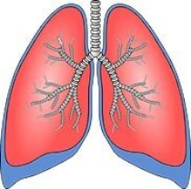 Emphysem - Facharztwissen